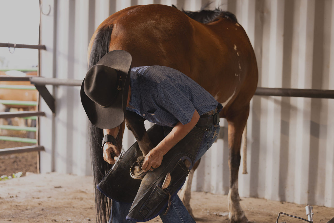 About Us – Ferrell Brand